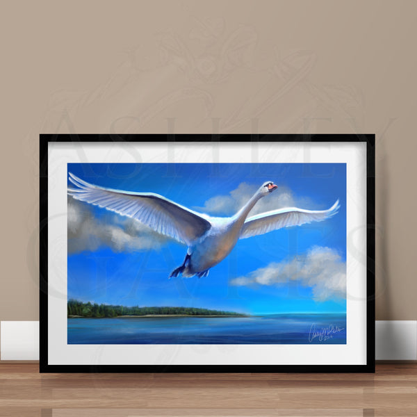 Flying Swan Art Print – AshleyGates